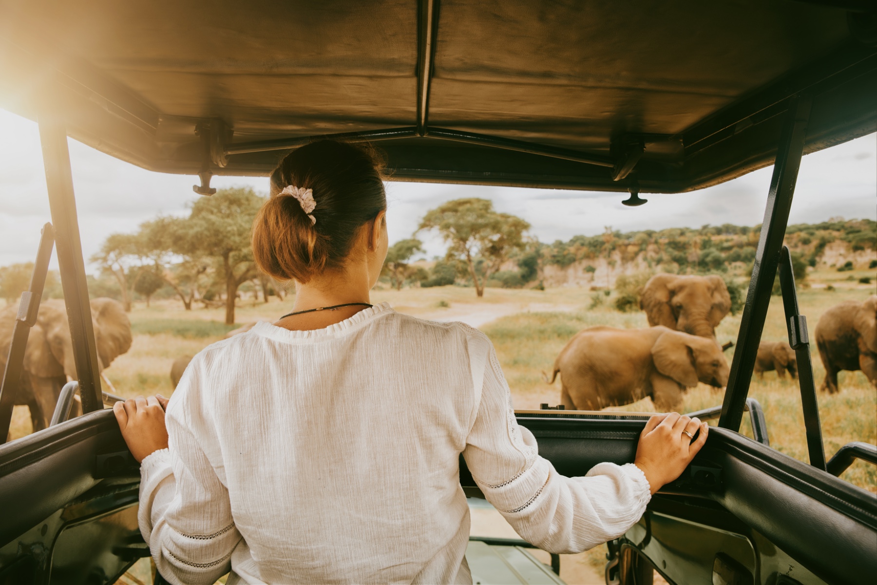 Field Report - Journal | Journeys With Purpose
