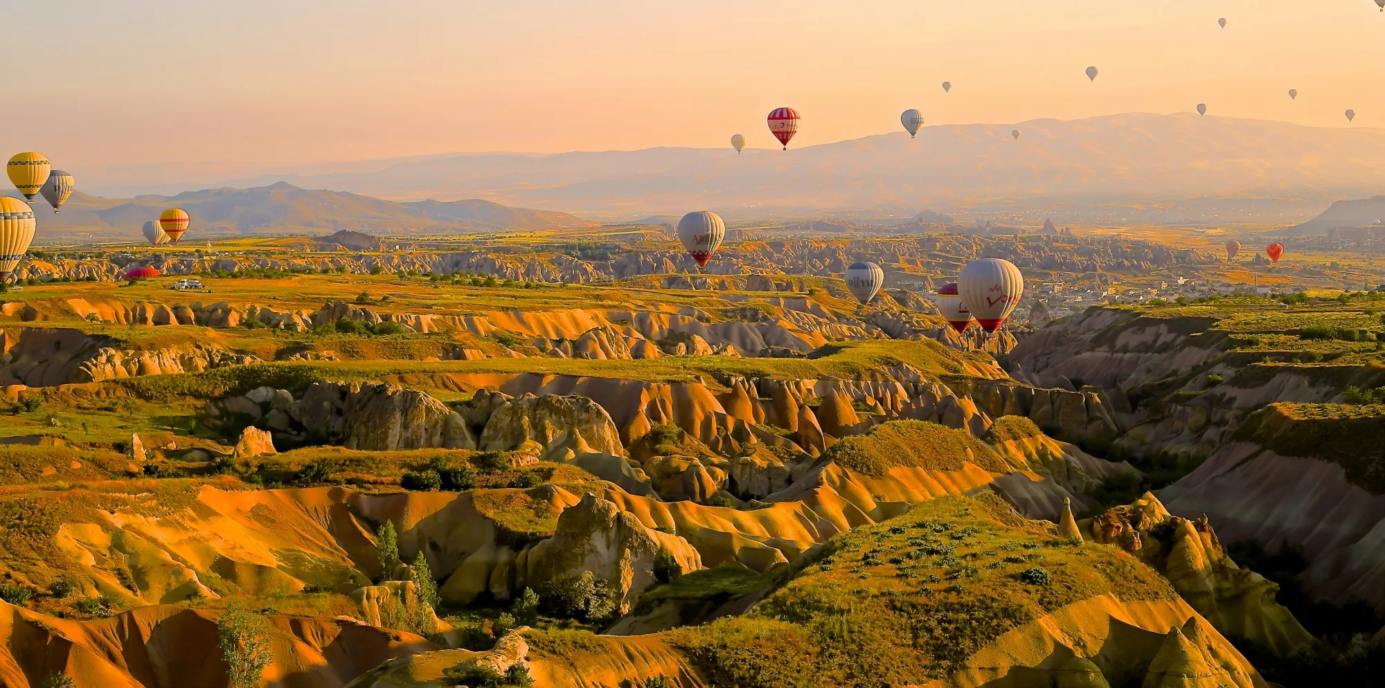 Impact Ambassadors | Journeys With Purpose