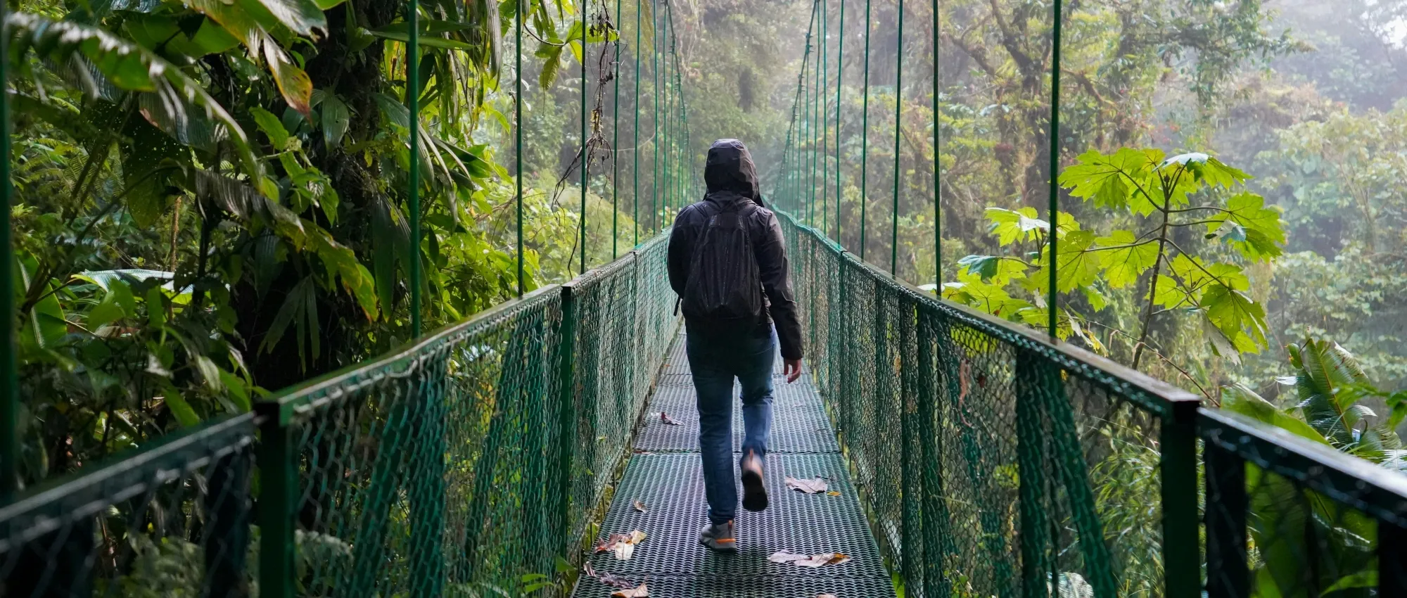 Conservation Jounrney to Costa Rica | Journeys With Purpose